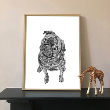 Products – ROS SHIERS