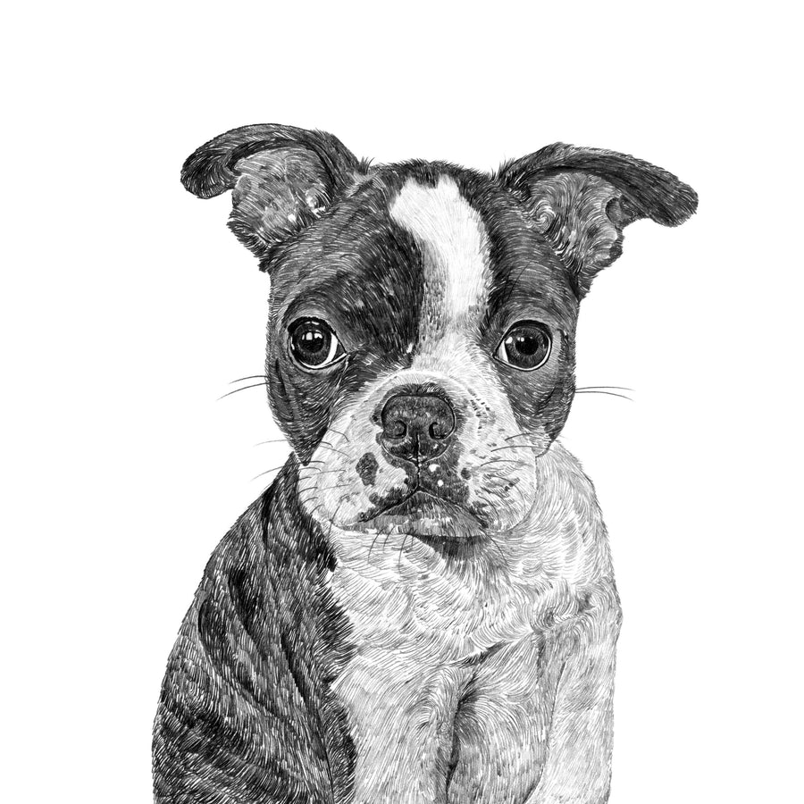 BESPOKE PORTRAIT – ROS SHIERS