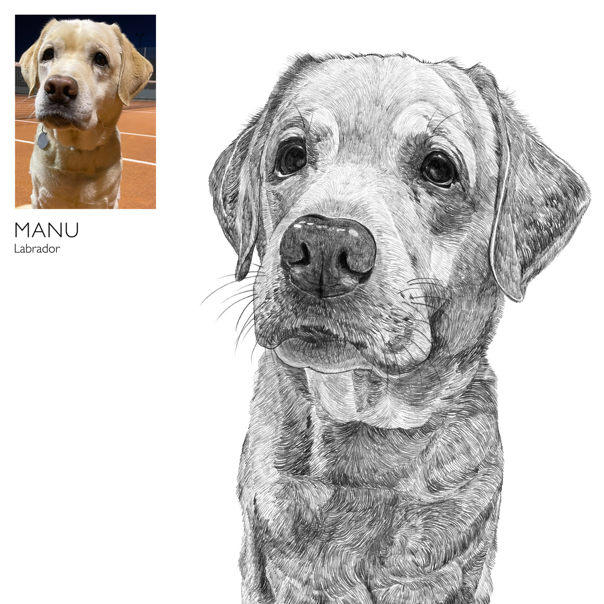 Bespoke Dog Portrait – ROS SHIERS